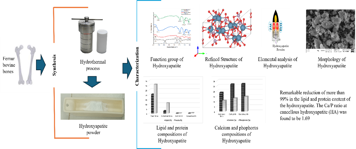 Preparation, Synthesis, and Characterization of Hydroxyapatite from ...