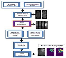 Enhanced Segmentation of High-Grade and Low-Grade Brain Tumors Using ...