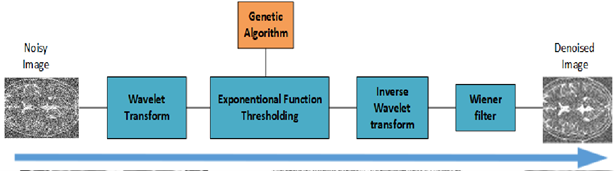 Wavelet-based Denoising of Magnetic Resonance Images Using Optimized Exponential Function ...