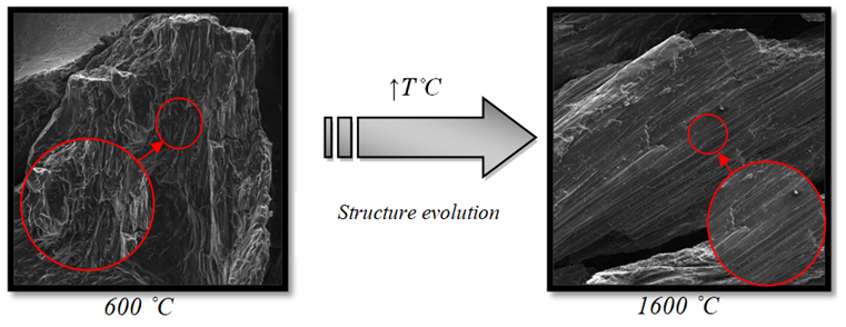 Polymer-modified Needle Coke Properties Formation During High ...