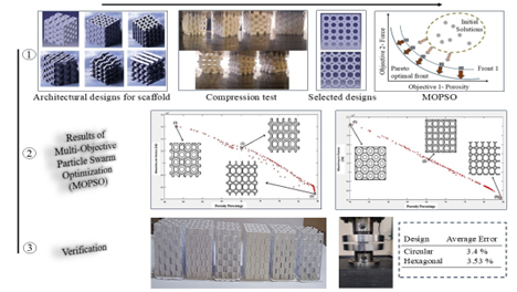 Multi-objective Optimization of Biomedical Scaffold Geometries for Mechanical and Porous ...